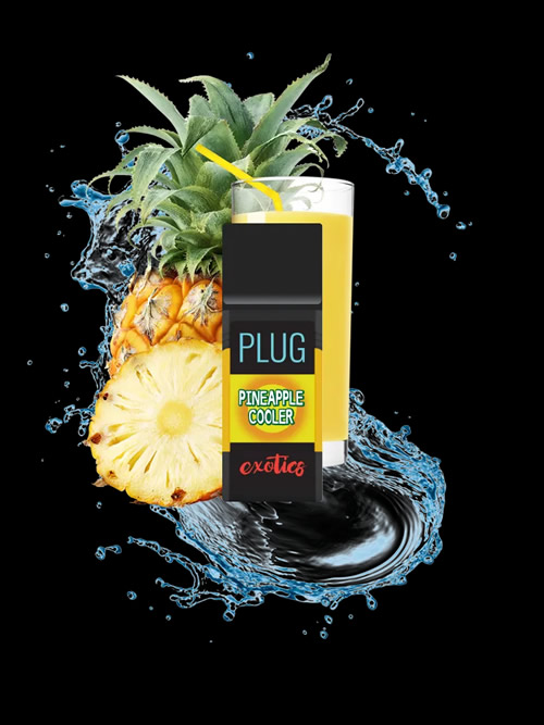 PLUG EXOTICS Pineapple Cooler – Lovebud PLUG EXOTICS Pineapple Cooler – Lovebud
